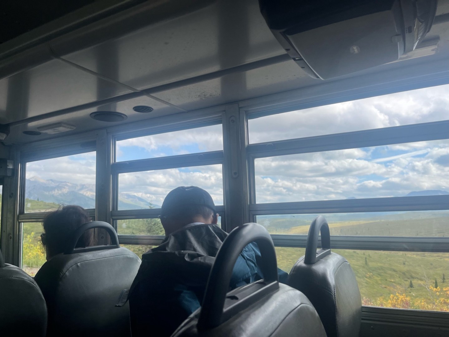 The Ultimate Guide to Denali National Park in Summer – mir on mountains