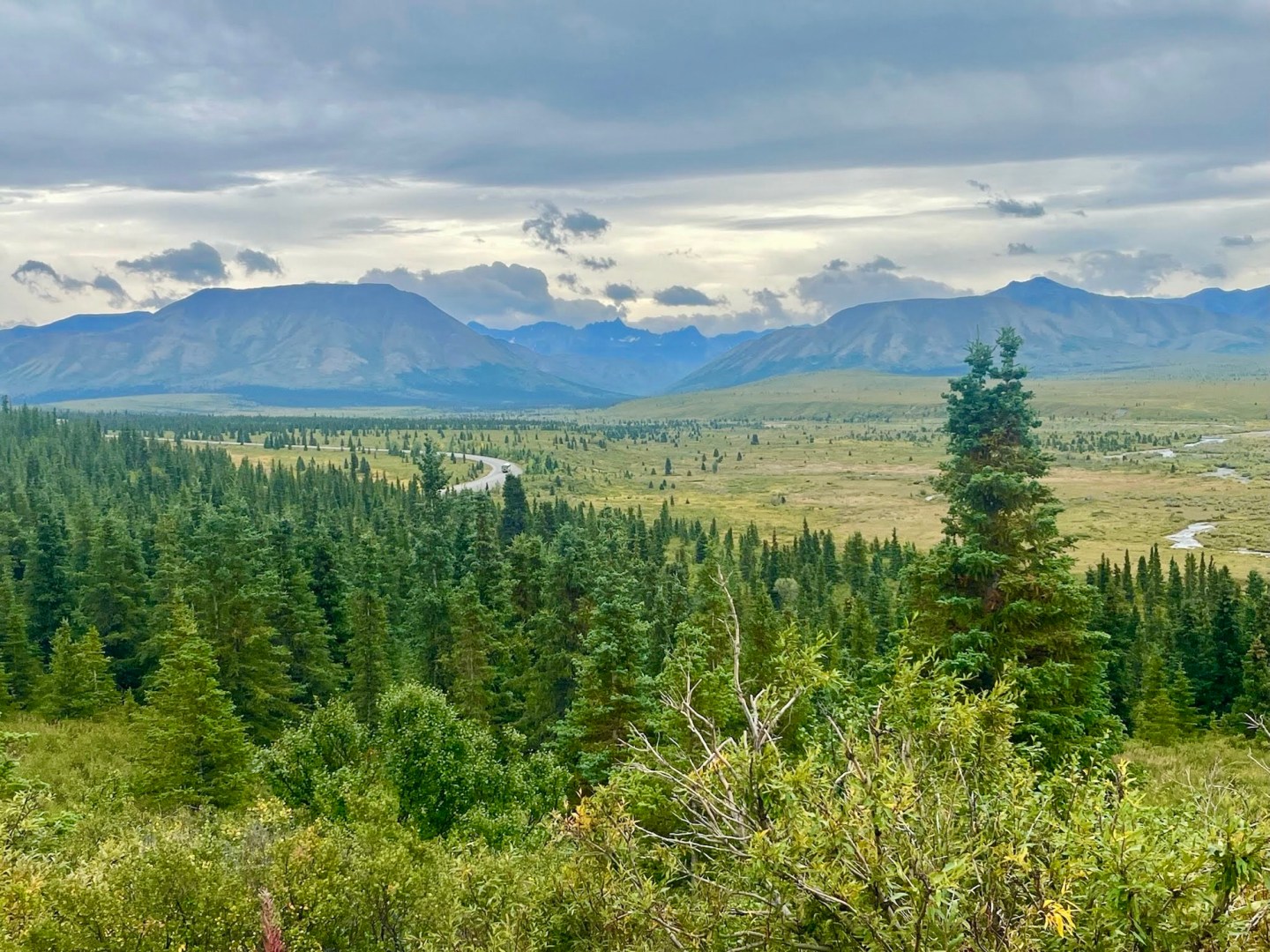 The Ultimate Guide to Denali National Park in Summer – mir on mountains