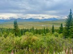 The Ultimate Guide to Denali National Park in Summer – mir on mountains