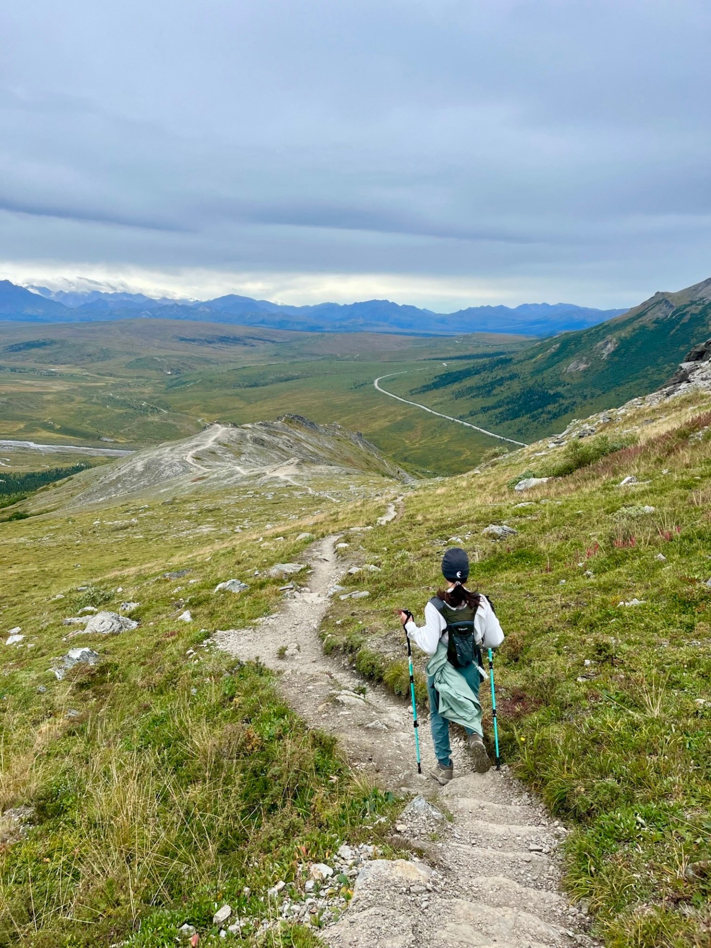 The Ultimate Guide to Denali National Park in Summer – mir on mountains