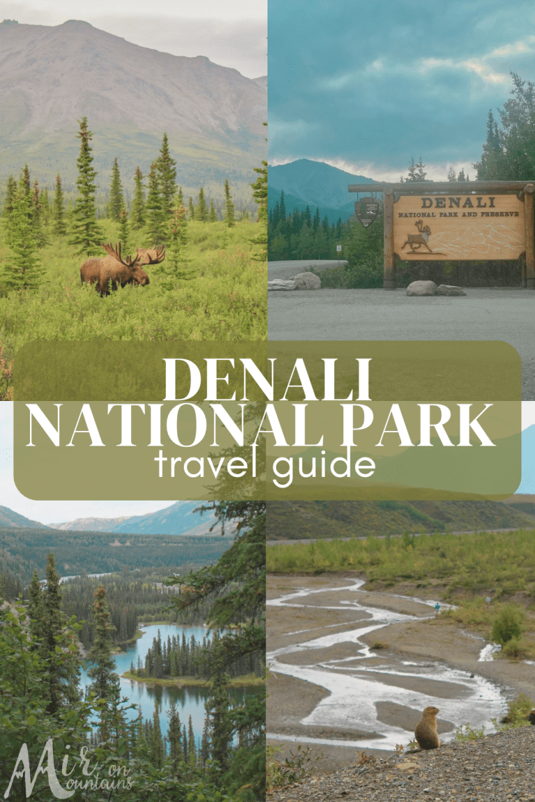 The Ultimate Guide to Denali National Park in Summer – mir on mountains