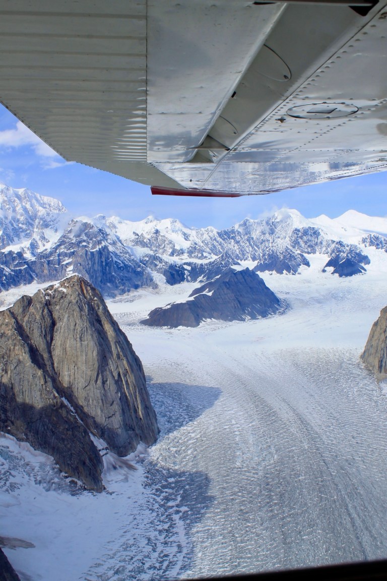 The Ultimate Guide to Denali National Park in Summer – mir on mountains