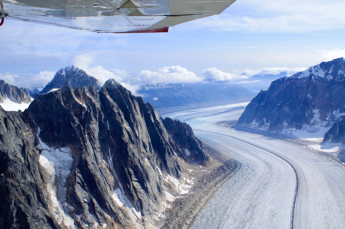 The Ultimate Guide to Denali National Park in Summer – mir on mountains