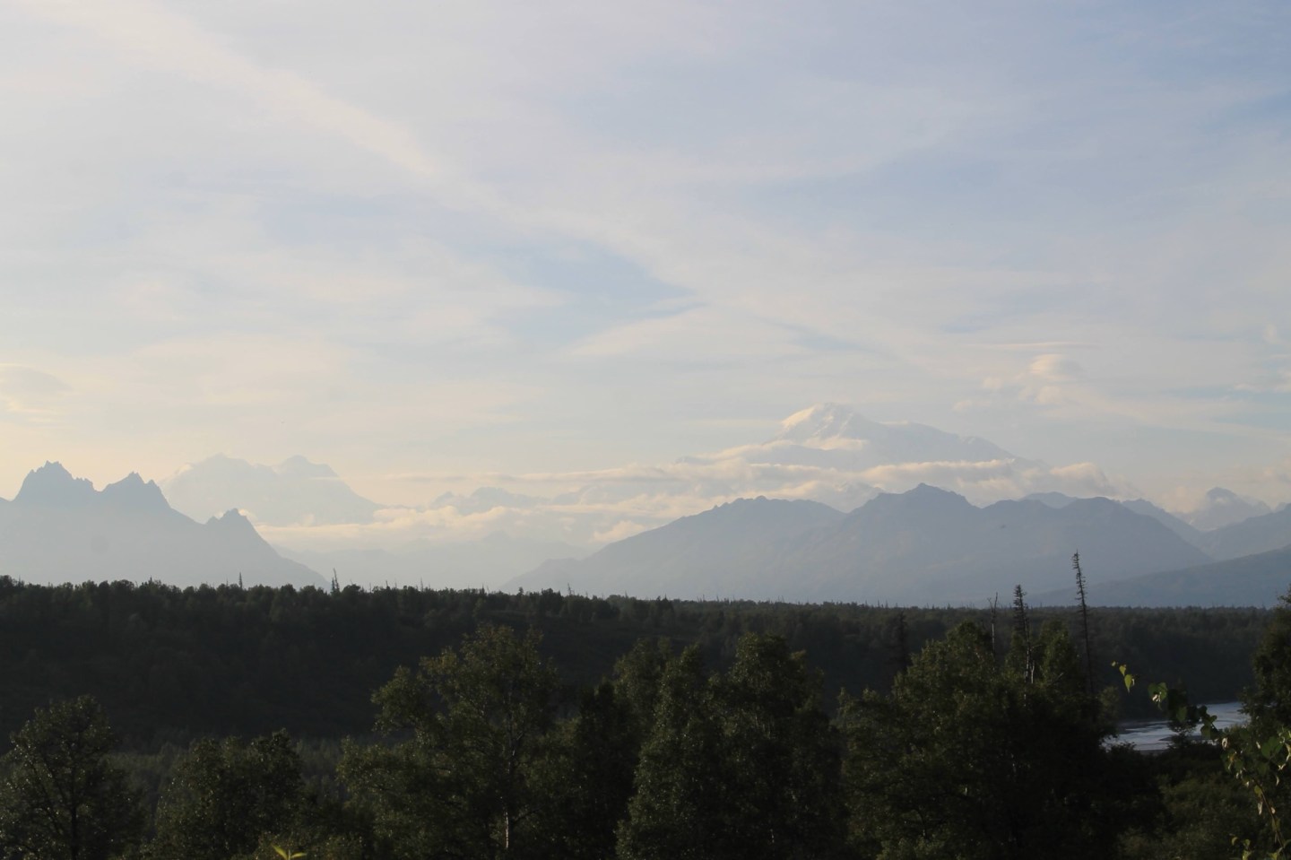 The Ultimate Guide to Denali National Park in Summer – mir on mountains