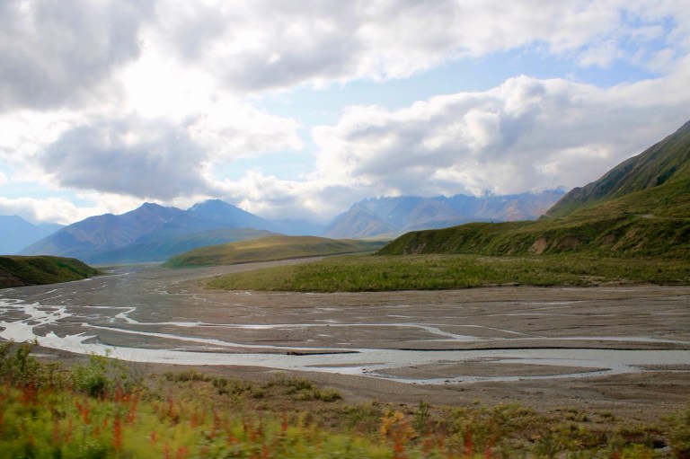 The Ultimate Guide to Denali National Park in Summer – mir on mountains