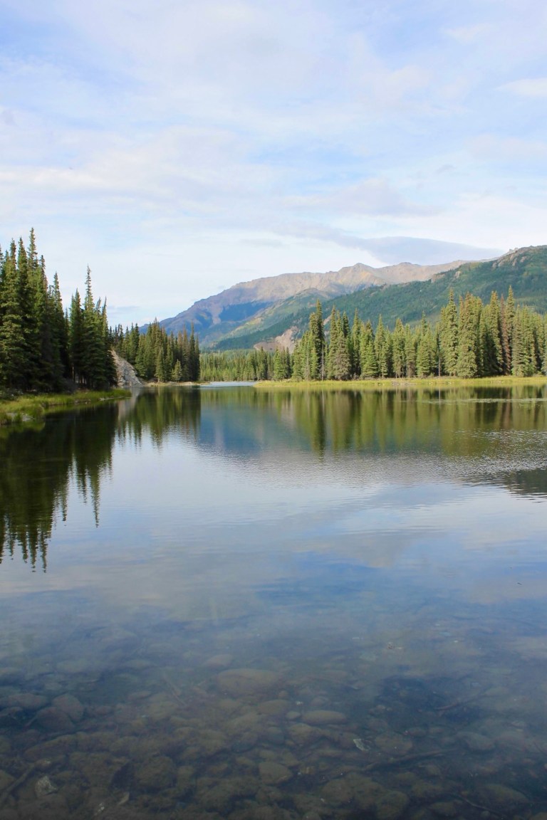 The Ultimate Guide to Denali National Park in Summer – mir on mountains